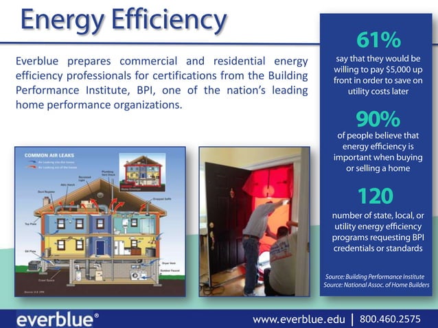 Picture This! BPI Certification Training | PPTX