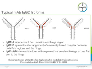Assay Improvement for Protein Therapeutics at Clinical Development ...