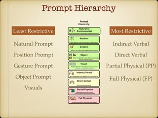 Best Practices in Positive Behavior Management | PDF
