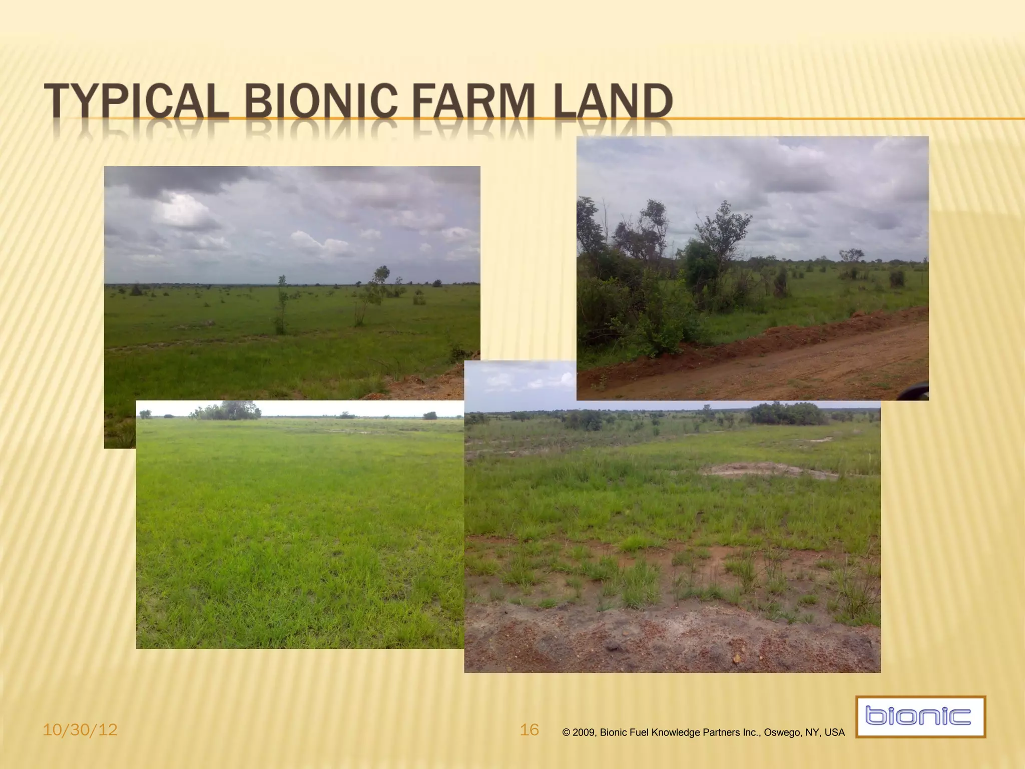 Bionic Palm Ltd. Ghana, Sustainable oil & food farming | PPT