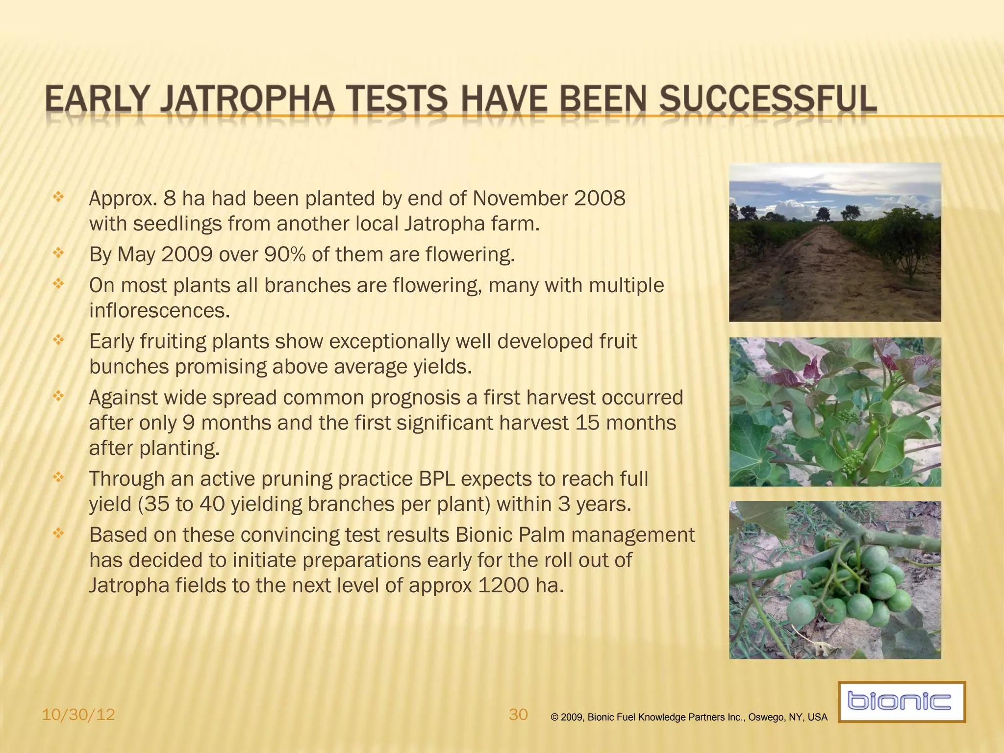 Bionic Palm Ltd. Ghana, Sustainable oil & food farming | PPT