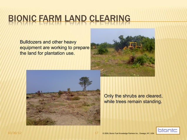 Bionic Palm Ltd. Ghana, Sustainable oil & food farming | PPT