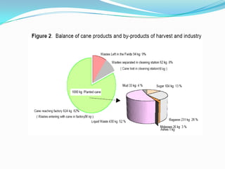 B plan for making power alcohol | PPTX