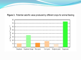 B plan for making power alcohol | PPTX