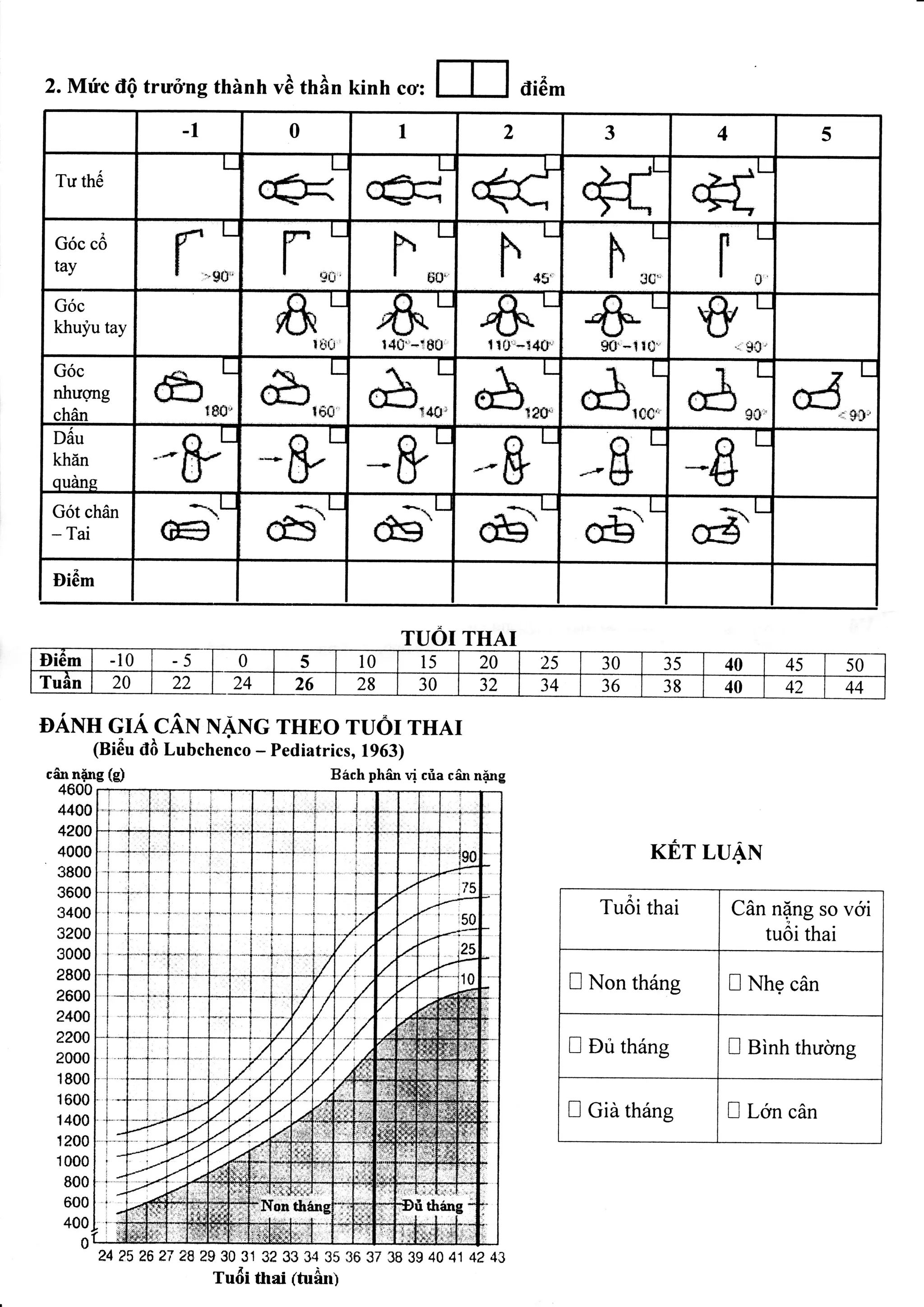 BẢNG ĐÁNH GIÁ TUỔI THAI | PDF