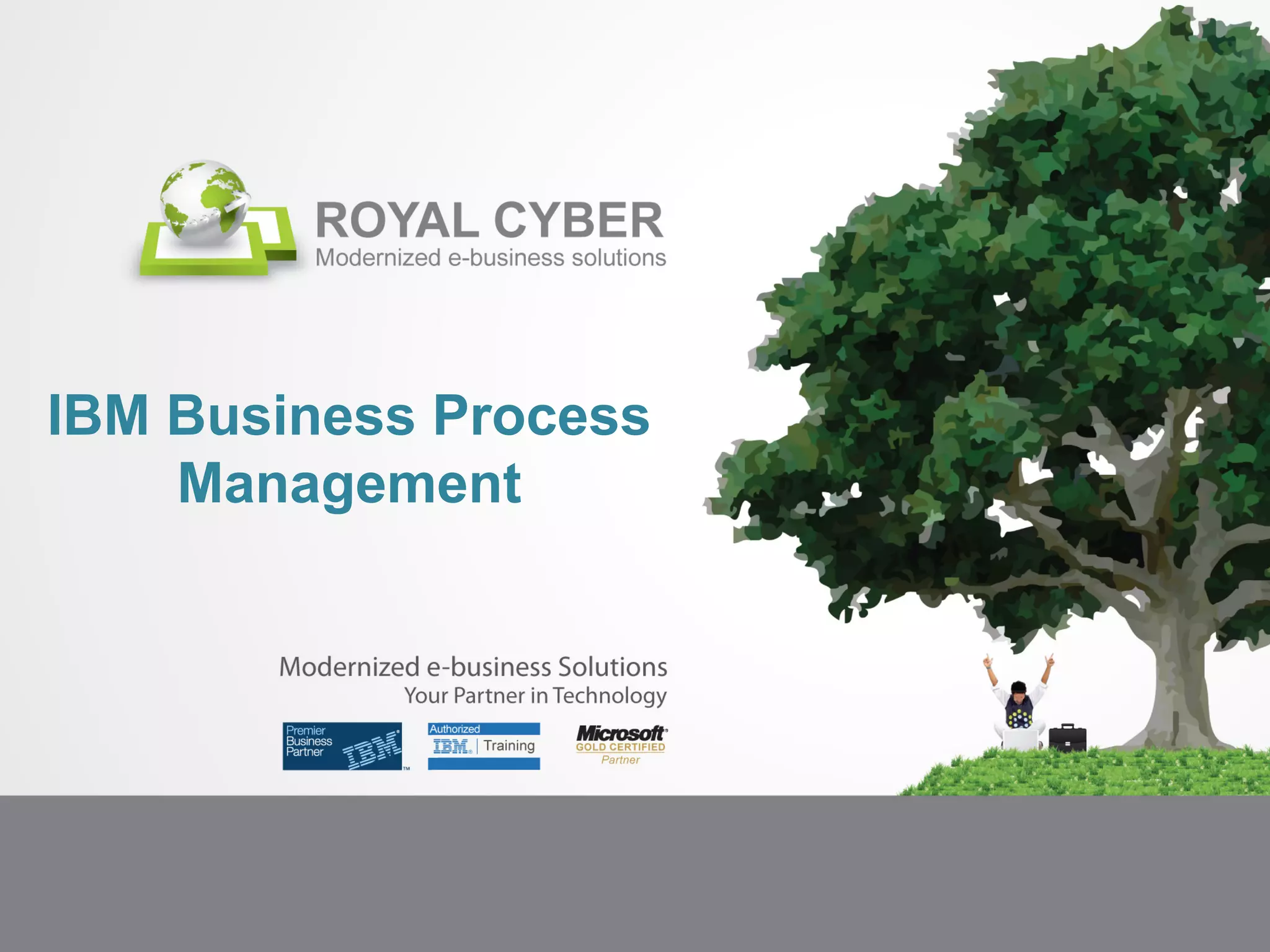 IBM Business Process Management | PDF
