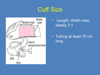 Blood Pressure Measurement | PPTX