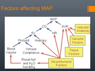 Non Invasive and Invasive Blood pressure monitoring RRT | PPT