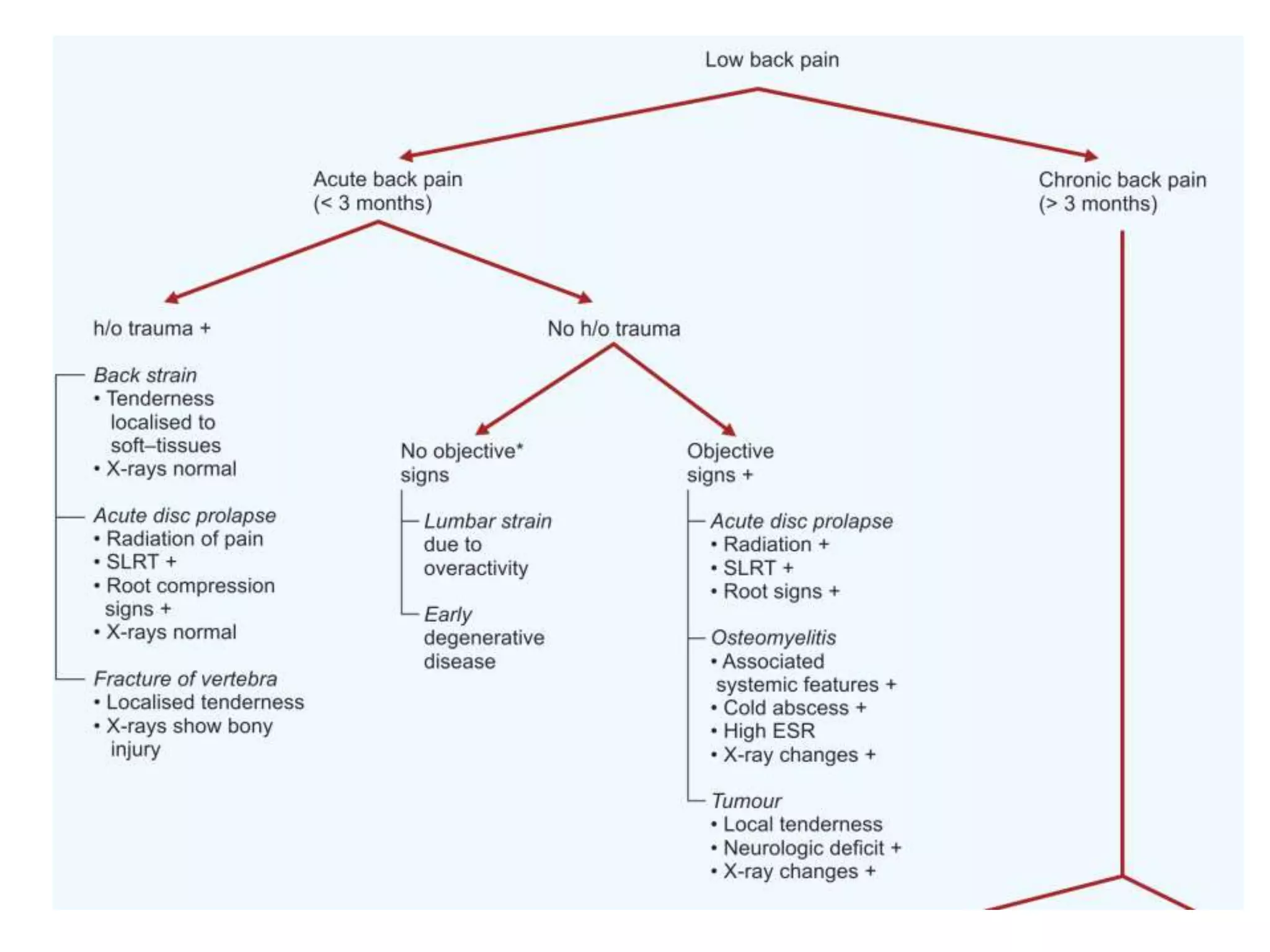 Mechanical back pain | PPTX