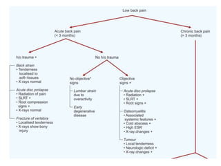 Mechanical back pain | PPTX