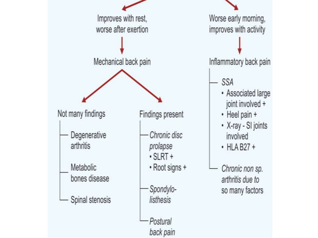 Mechanical back pain | PPTX