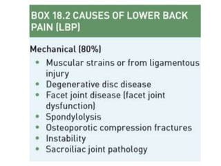 Mechanical back pain | PPTX