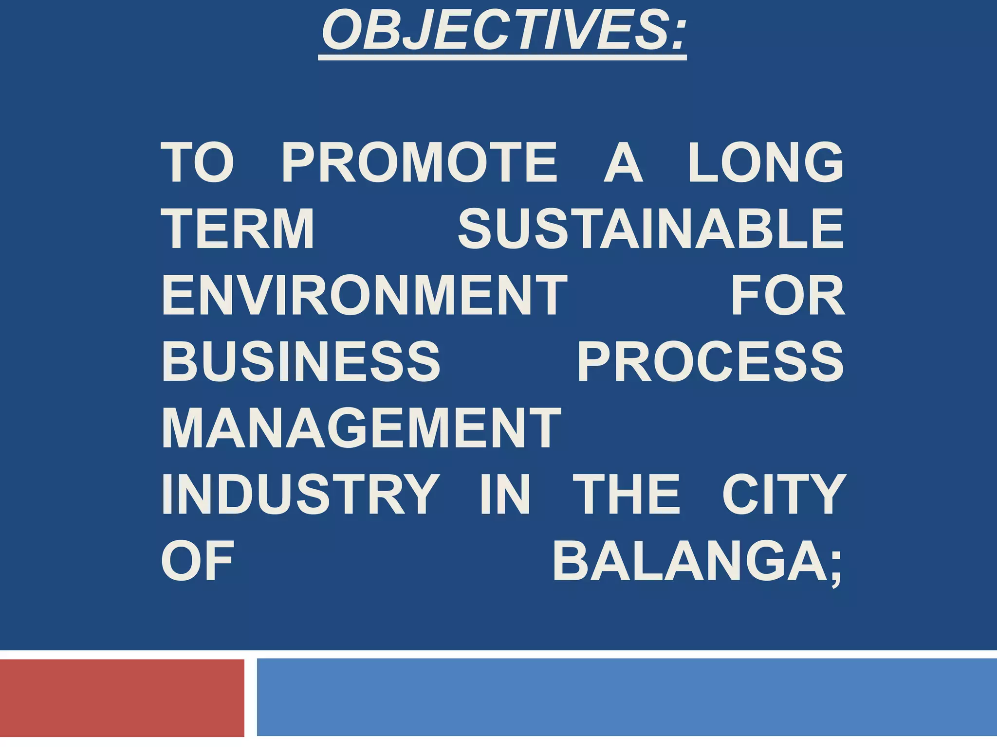 Business Process Management Ordinance