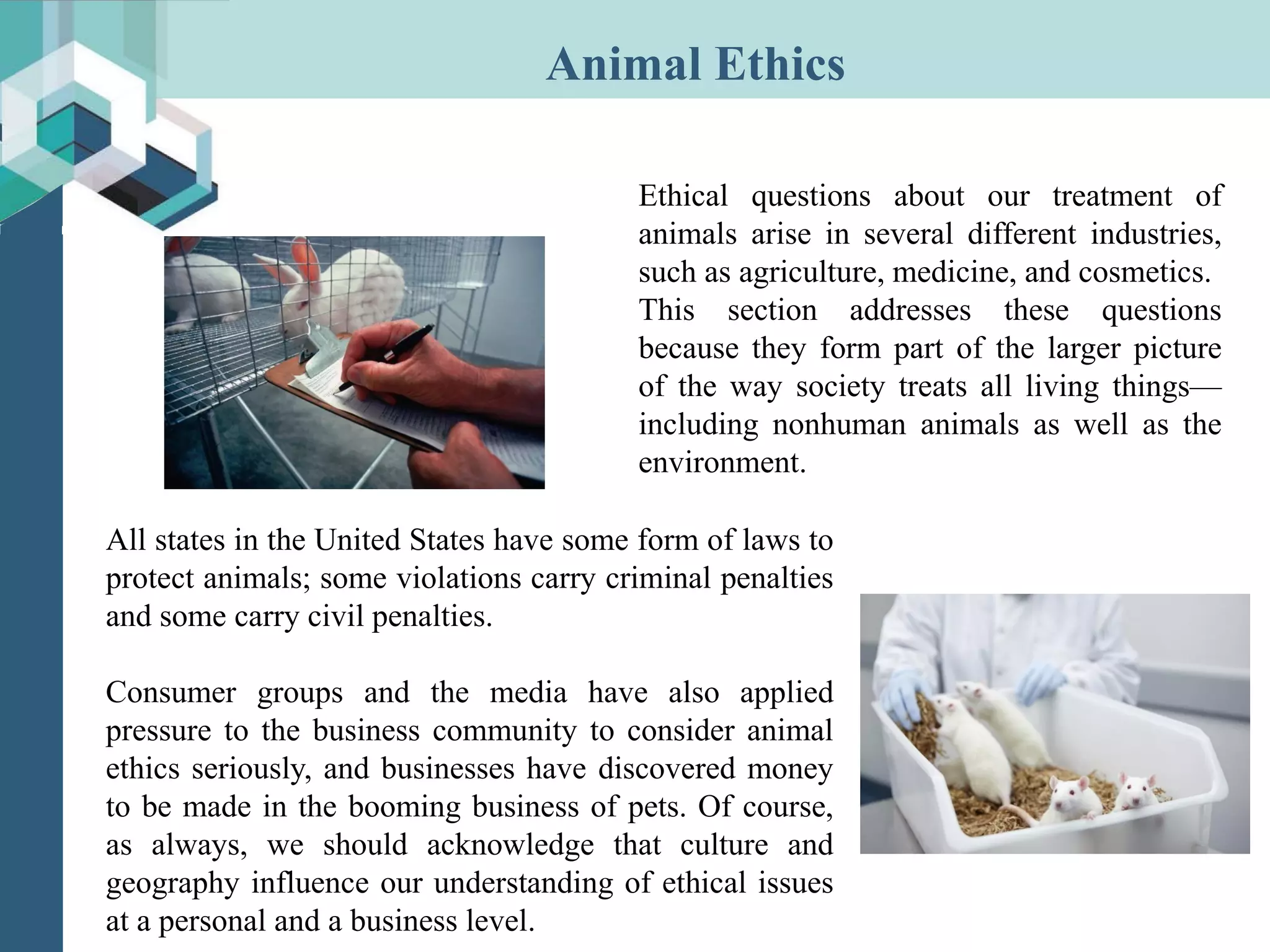 British Petroleum [Case Study : Deepwater Horizon Oil Spill] | PDF