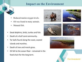 British Petroleum [Case Study : Deepwater Horizon Oil Spill] | PDF