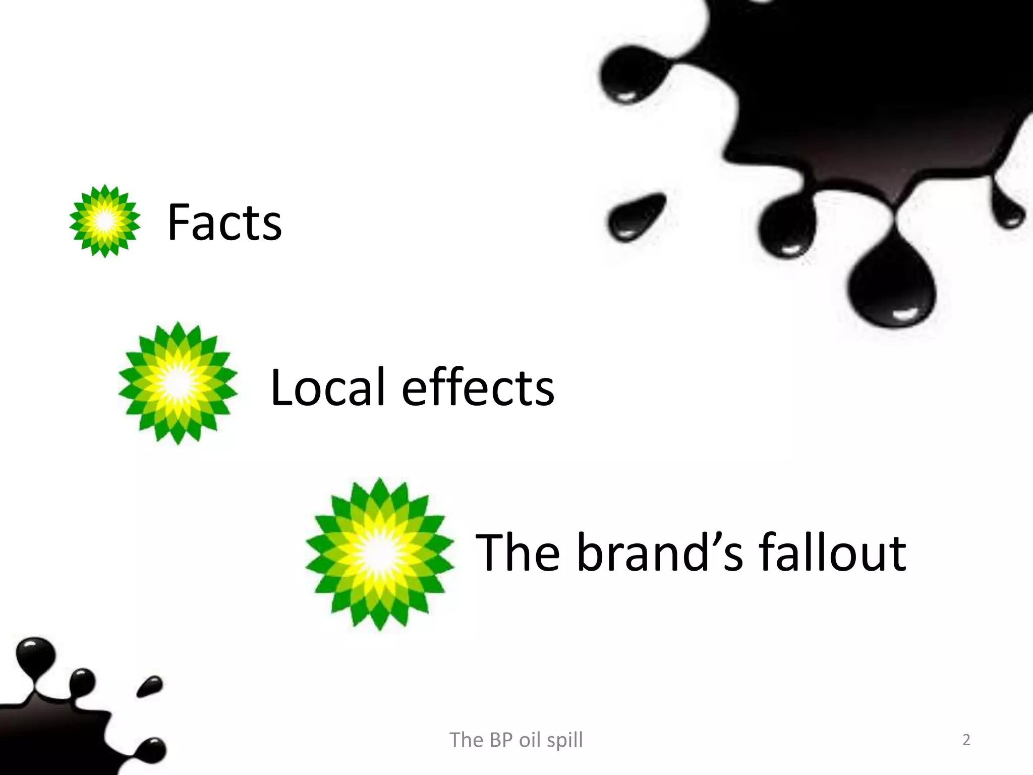 The Bp Oil Spill Ppt
