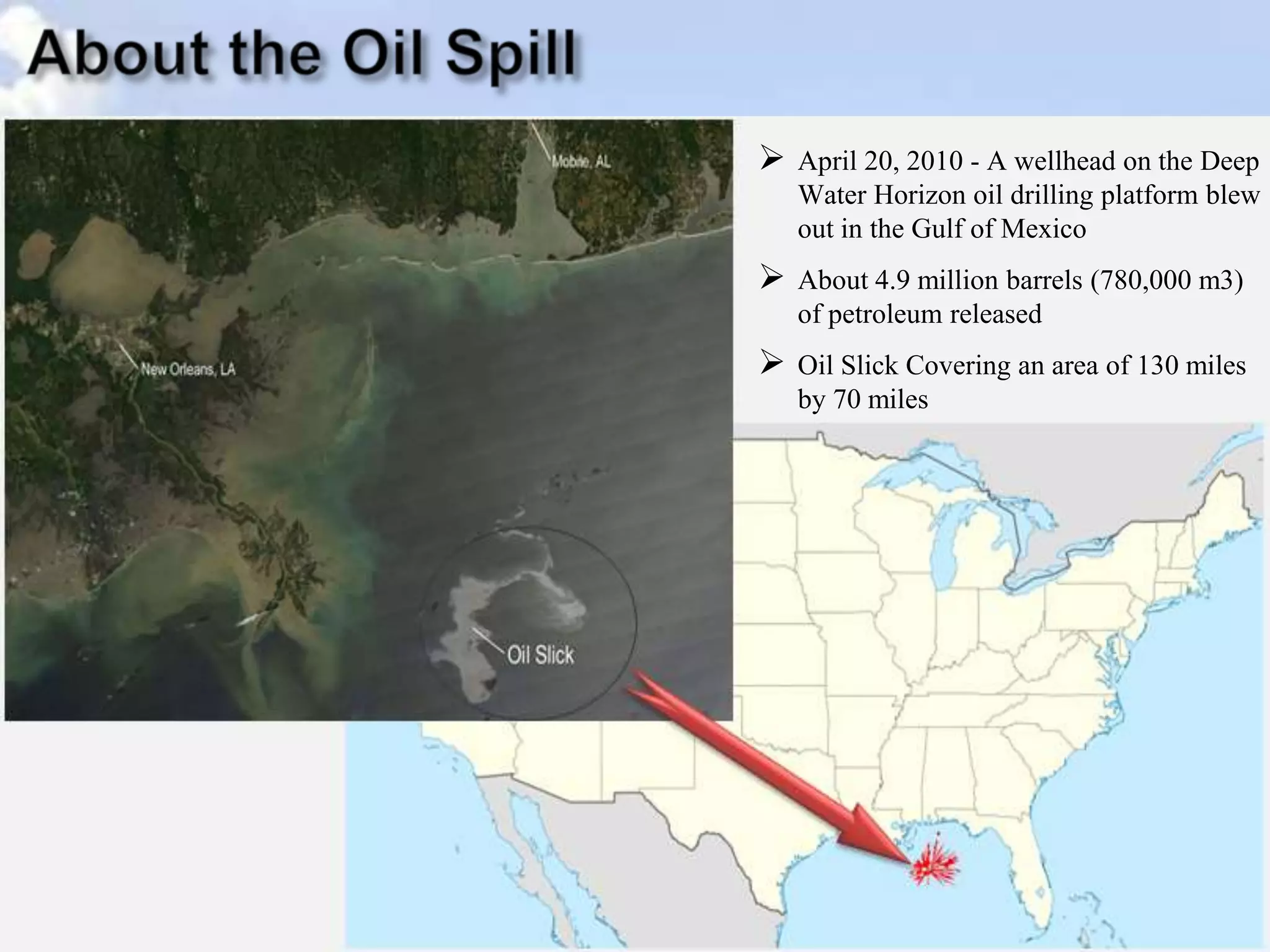 Bp oil spill case study | PPTX
