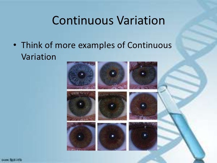 4-Genetics AHL - polygene (by Peter)