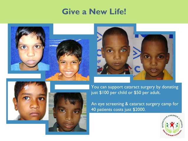 Blindness Prevention Program Overview | PPT