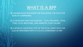 BPP.pptx