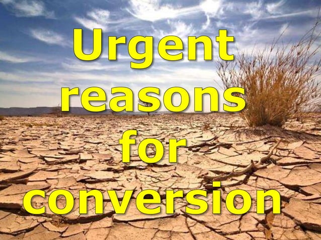 Ecological Conversion | PPT | Free Download
