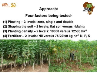 Best Planting Practices | PPTX