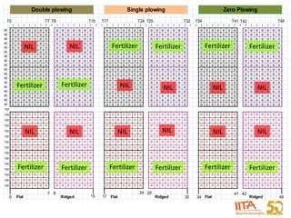 Best Planting Practices | PPTX
