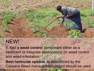 Cassava best planting practices use case | PPTX