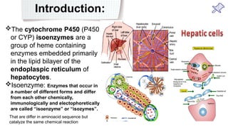 Role of cytochrome P450 in drug interactions,Drug interactions linked ...