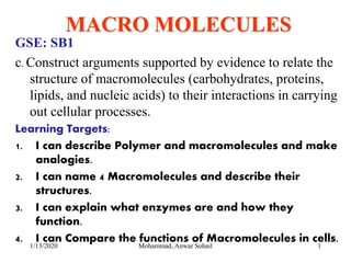 Bpp macro molecules (2) | PPT