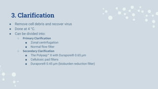 Generic Manufacturing Process of Foot & Mouth Disease Vaccines | PPTX