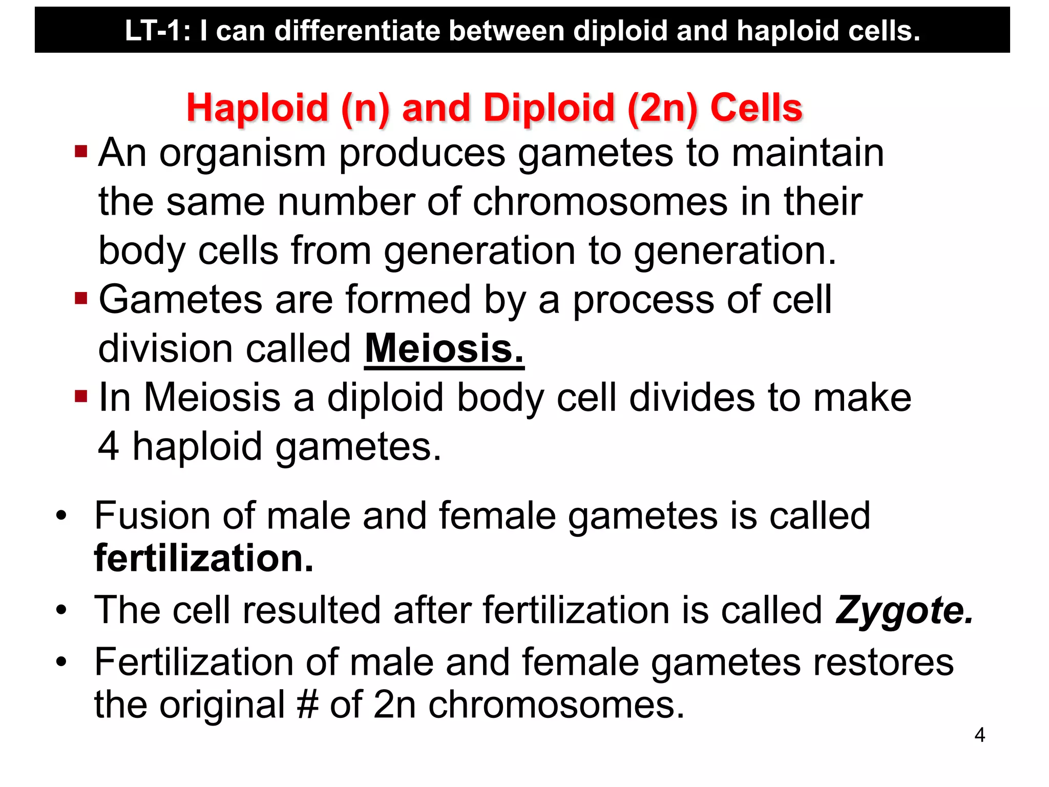 Meiosis and Sexual Reproduction | PPT