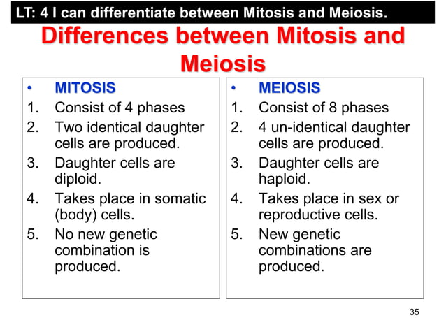 Meiosis and Sexual Reproduction | PPT