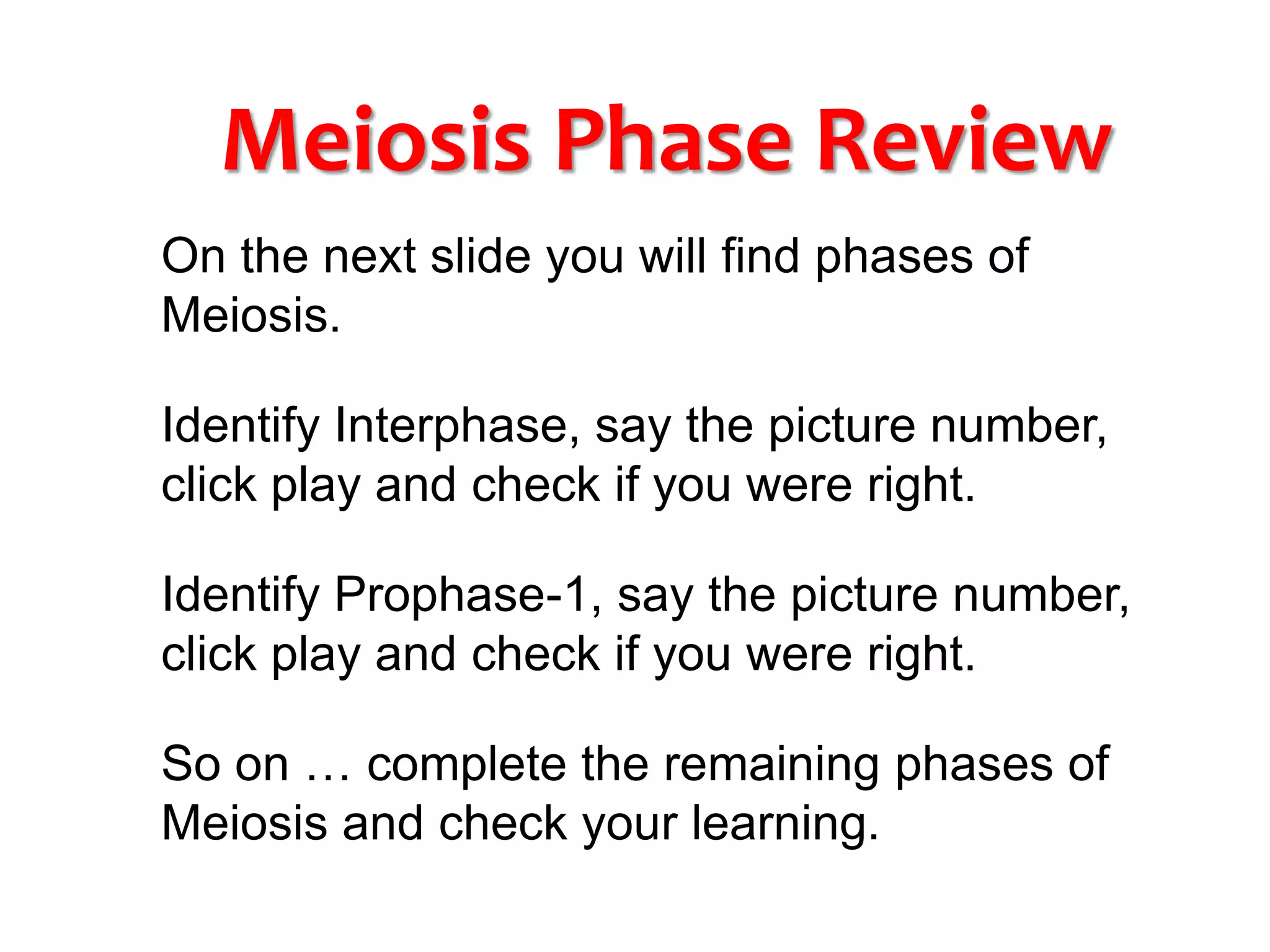 Meiosis-Identify the phase | PPT