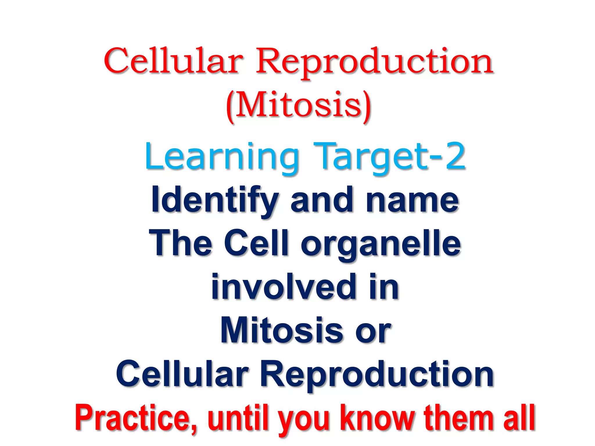 Cell organelle for MITOSIS | PPT