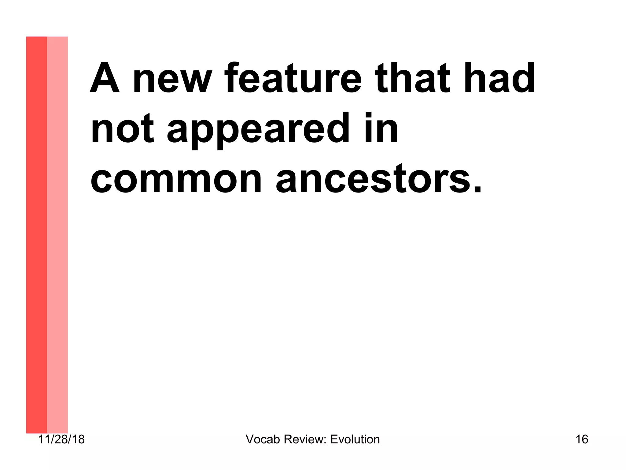 Evolution Vocabulary Flash Cards | PPT