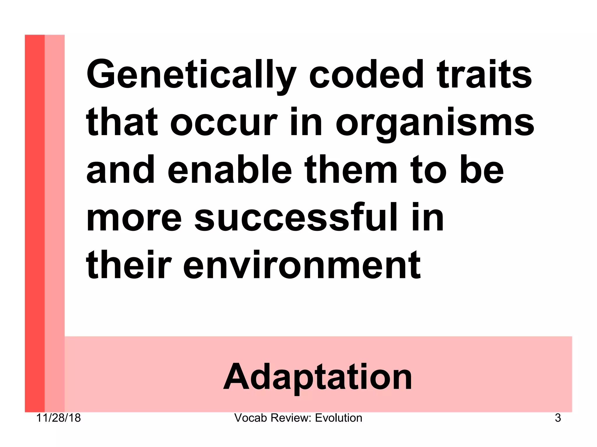 Evolution Vocabulary Flash Cards | PPT