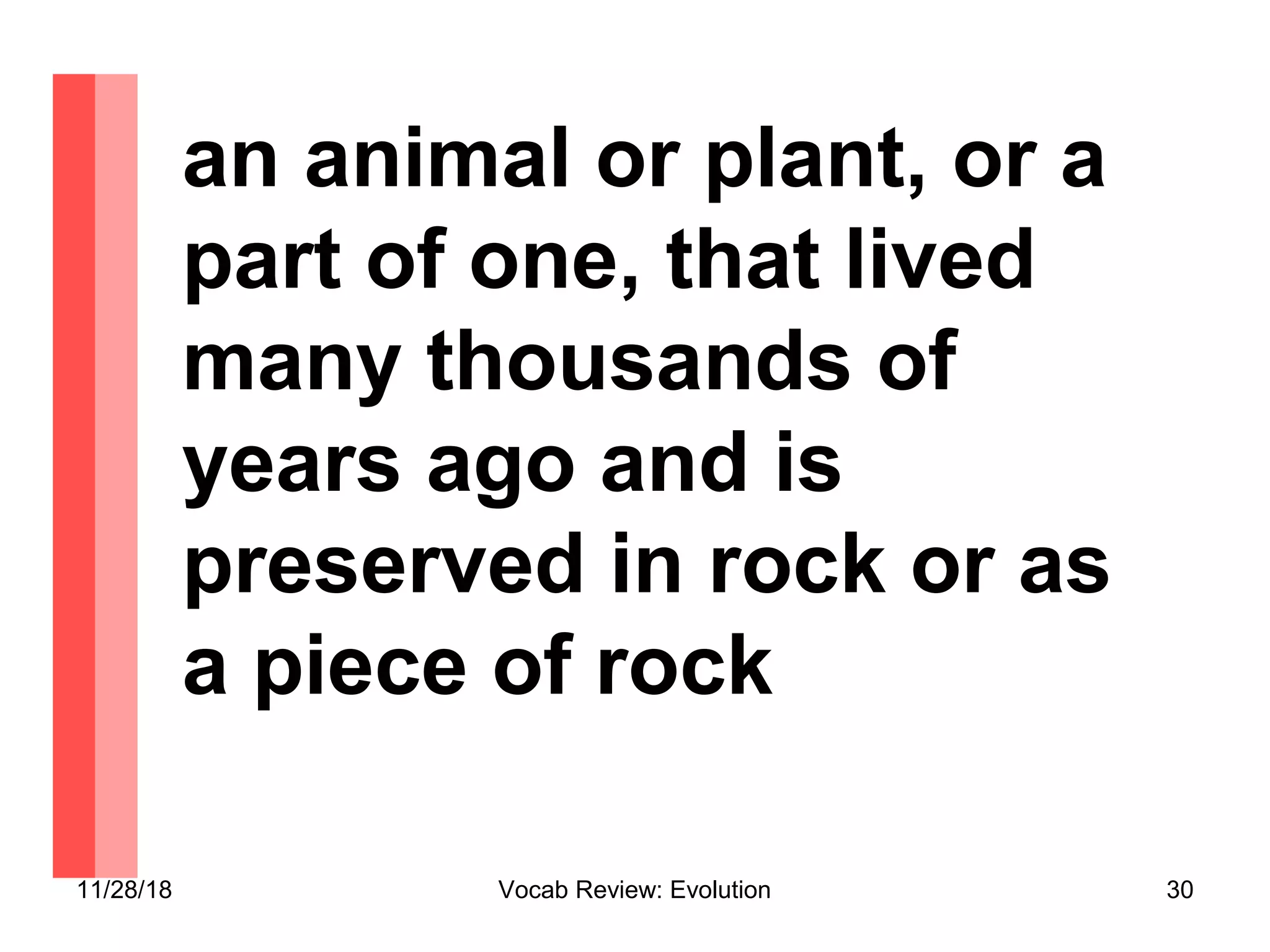 Evolution Vocabulary Flash Cards | PPT