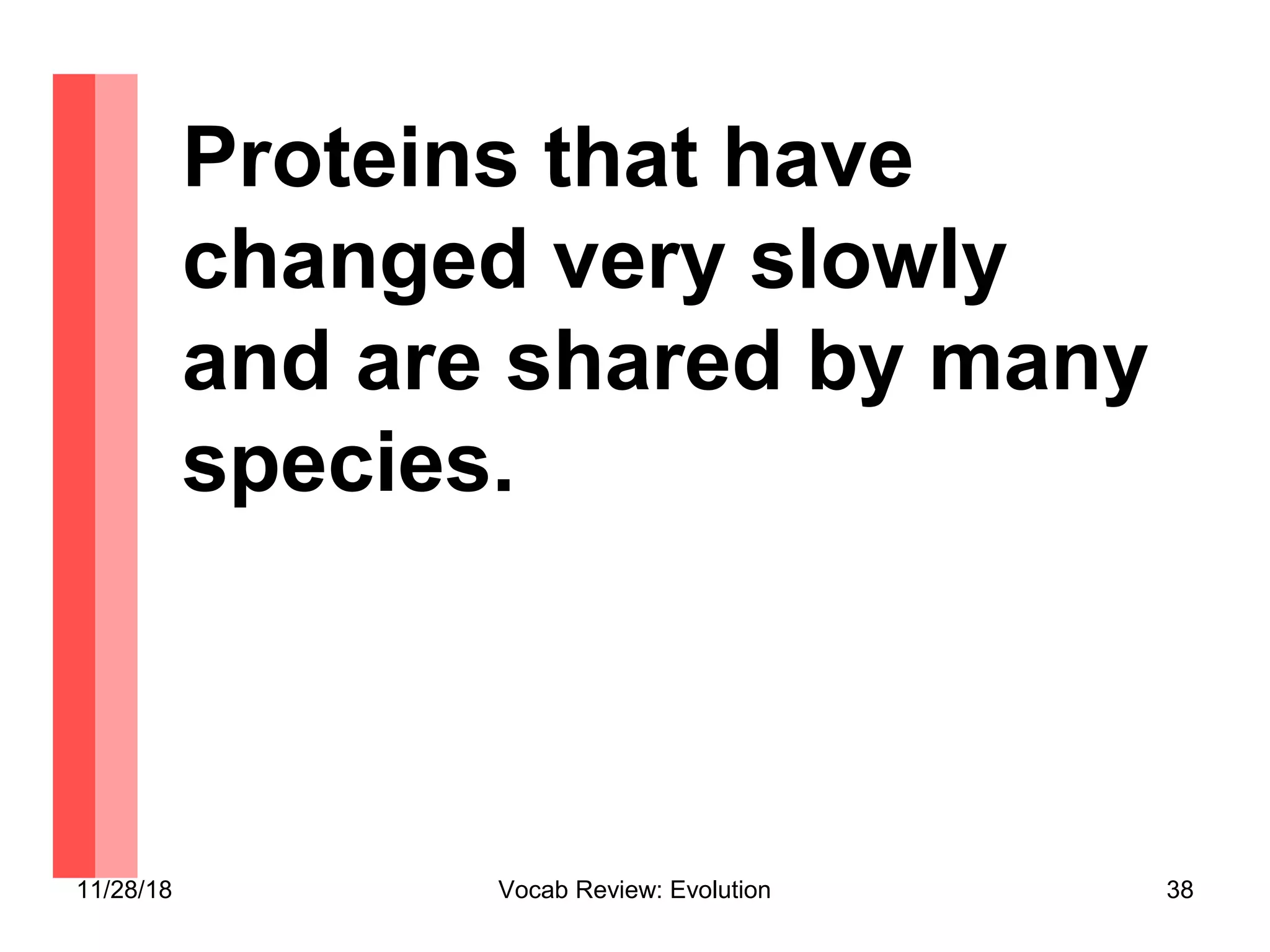 Evolution Vocabulary Flash Cards | PPT
