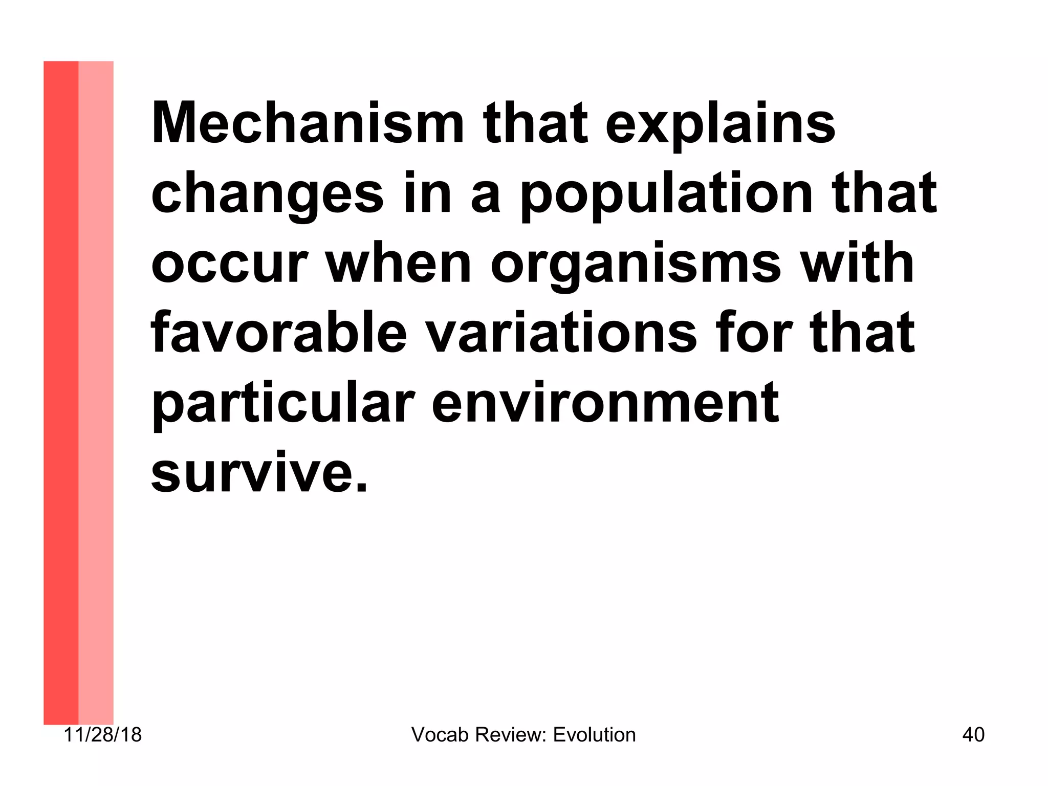 Evolution Vocabulary Flash Cards | PPT