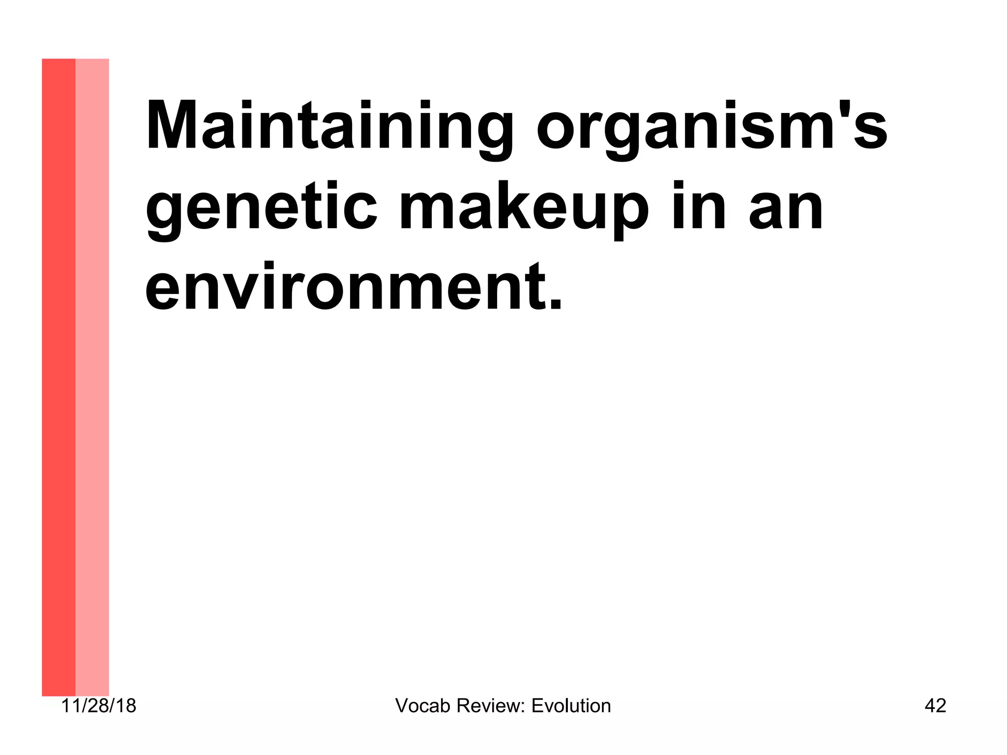 Evolution Vocabulary Flash Cards | PPT