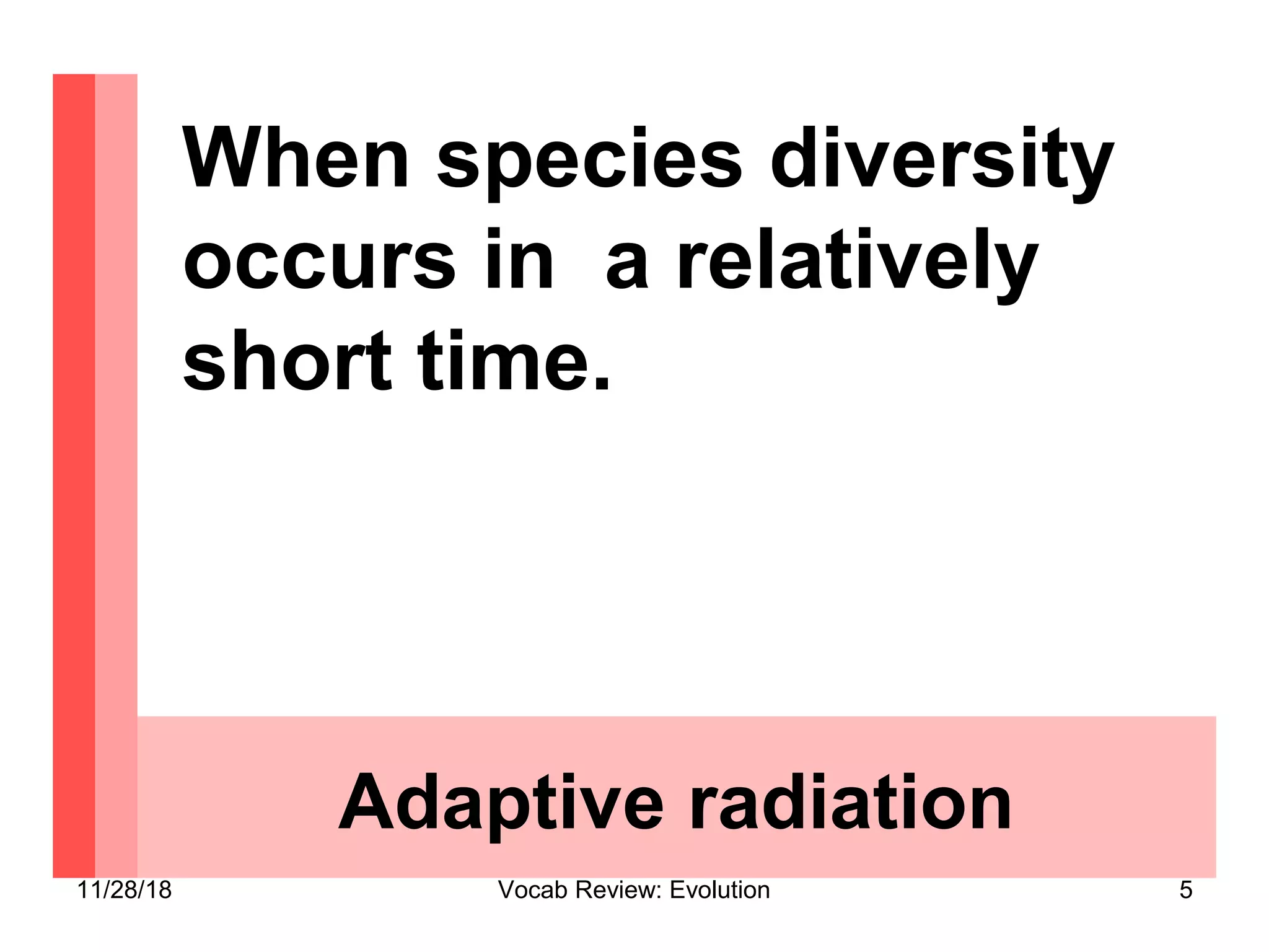 Evolution Vocabulary Flash Cards | PPT