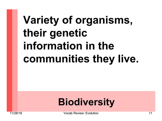 Evolution Vocabulary Flash Cards | PPT