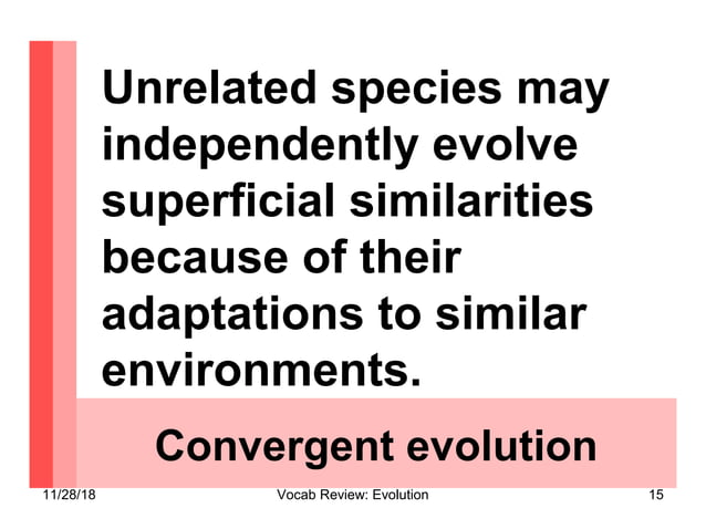 Evolution Vocabulary Flash Cards | PPT