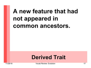 Evolution Vocabulary Flash Cards | PPT