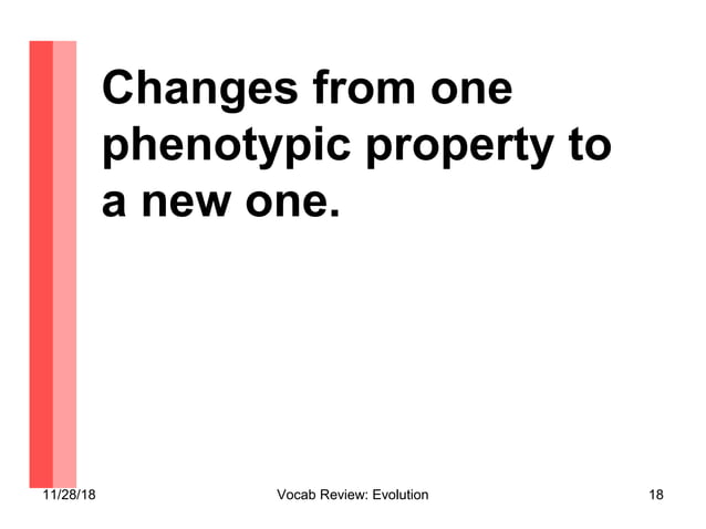Evolution Vocabulary Flash Cards | PPT