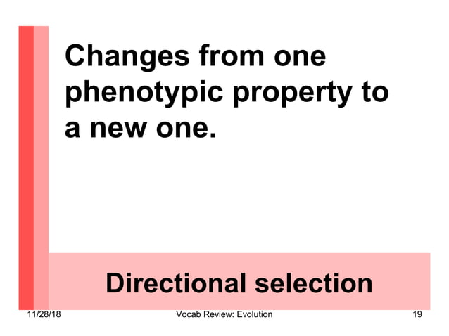 Evolution Vocabulary Flash Cards | PPT