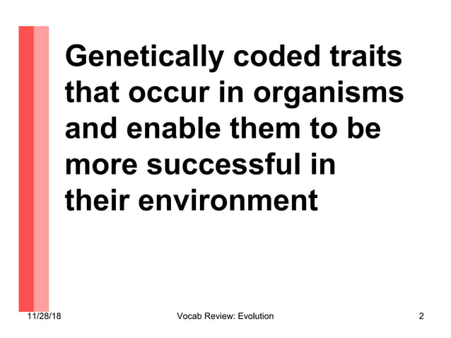 Evolution Vocabulary Flash Cards | PPT