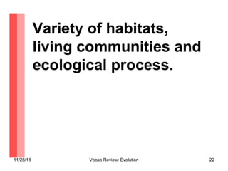 Evolution Vocabulary Flash Cards | PPT