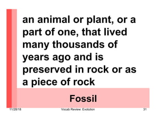 Evolution Vocabulary Flash Cards | PPT